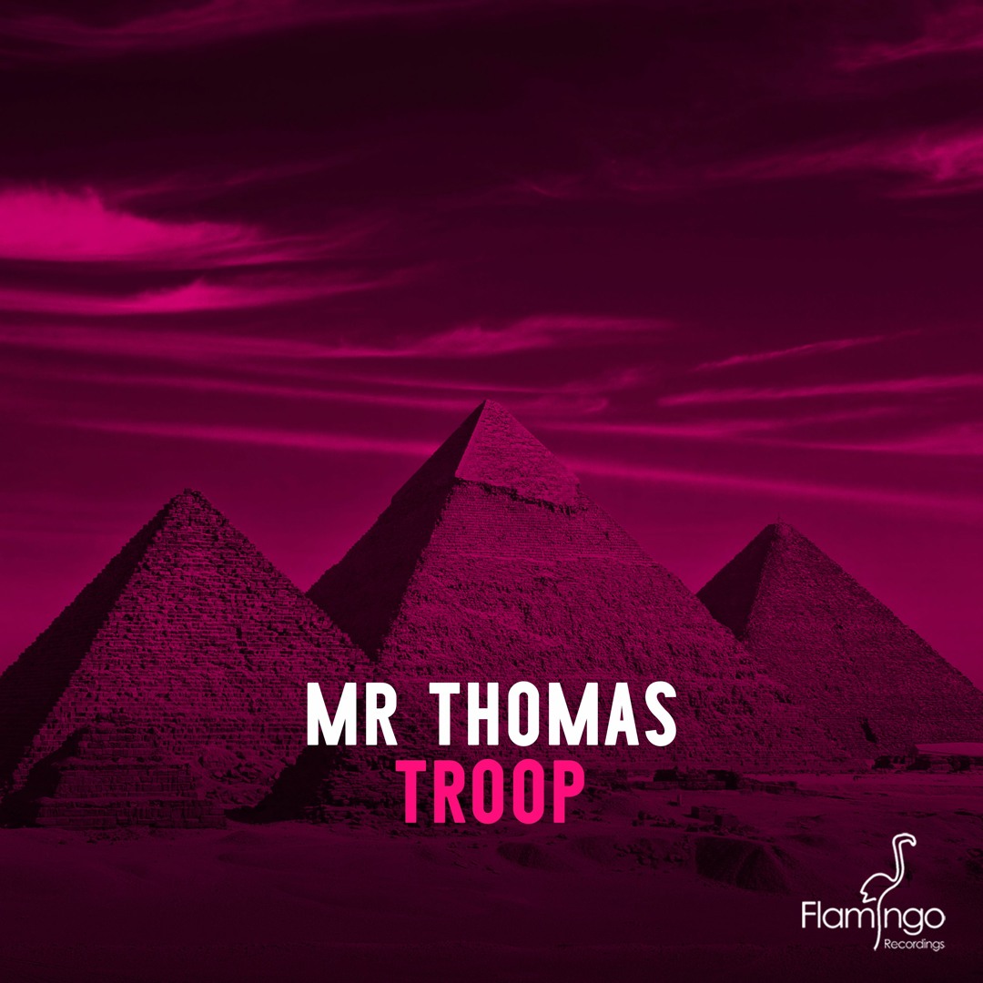 Stream Mr Thomas - Troop (Preview) [OUT NOW] by Flamingo Recordings ...