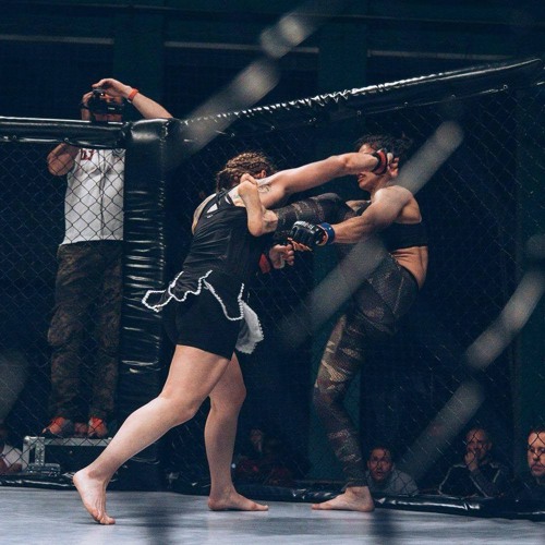 Stream Interview med Anna "Panda" Elmose by Fakta 2fem | Listen online ...