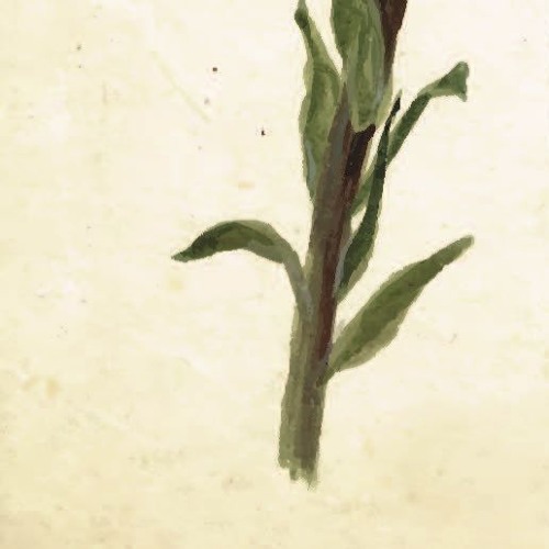 Stream LOTTI REQUIEM | Mozart: Felsen Spaltet Euren Rachen (Grabmusik ...