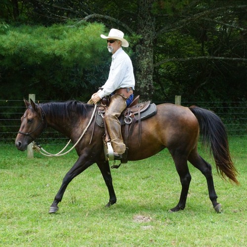 Stream Tom Moates interview on The Horseman's Corner, 1 April 2016 ...