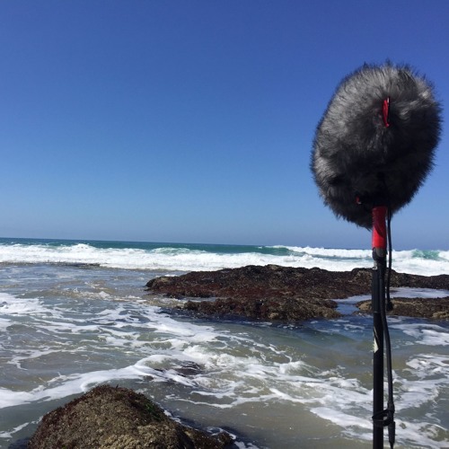 Stream episode Point Reyes - Ocean Sounds by Kevin Durr podcast ...