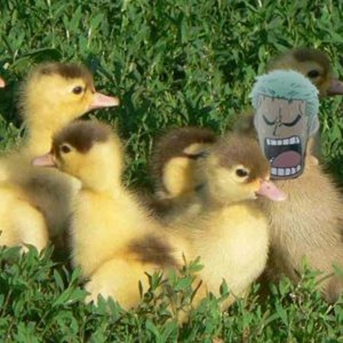 Stream episode Episode 44, "The Zoro Duck" by The One Piece Podcast ...