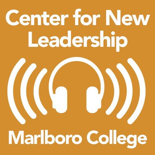 Stream episode Thinking in Systems with Rachel Ruppel by Center for New ...