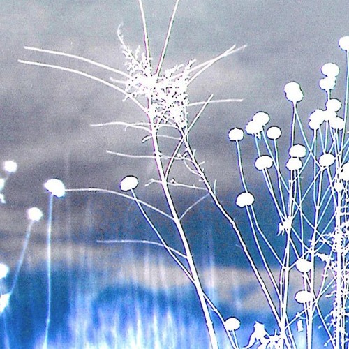 Stream Next SteP Clip by Klandestyne | Listen online for free on SoundCloud