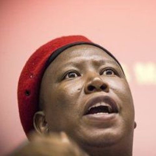 Stream Malema grills Judge Mnguni on relationship with Mkhwanazi by ...