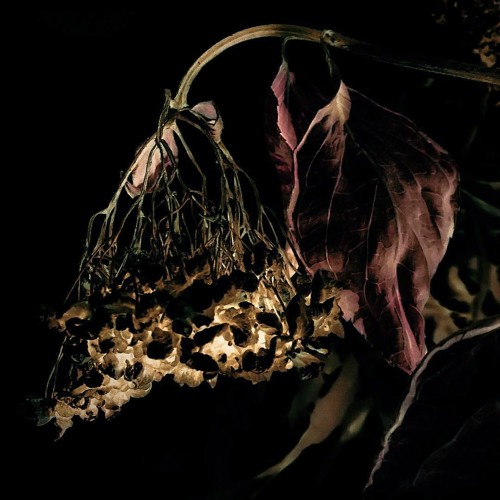 Stream The Call Of The Child by Toni Farlow | Listen online for free on ...