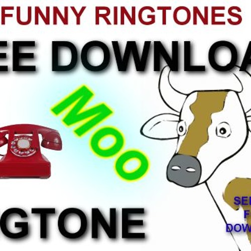 Stream Cow Moo RINGTONE by allcastcoUK | Listen online for free on ...