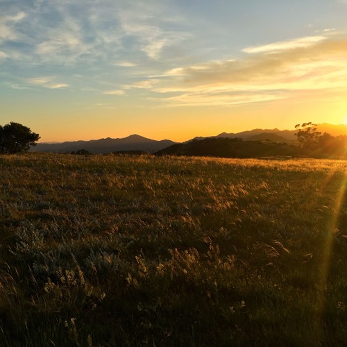 Stream Question Mark (piano Vocal) Carsten Lindberg/ Tova Litvin ...