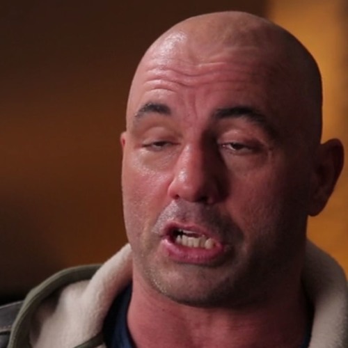 Stream Trippin' On Edible Weed With Joe Rogan by That New News | Listen ...