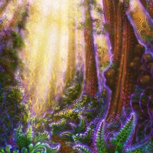 Stream ATTADARK [DJ-SET] @ Nature Mechanism by ॐ AttAdArk ॐ | Listen ...