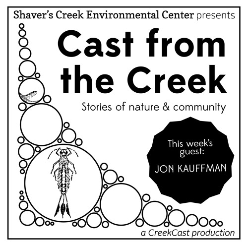 Stream episode Raptors, Citizen Science, and Volunteering — Jon ...