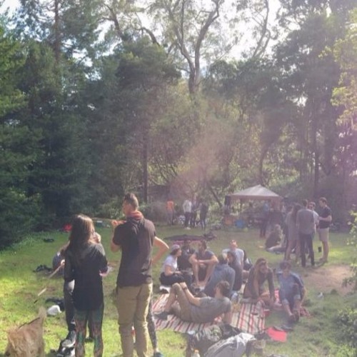 Stream Underground Pop-Up Raptor 2.0 DJ Dance Party by DJ DOLLFIN ...