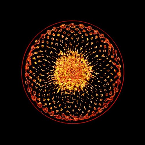 Stream An interfaith hymn: Peace Prayer Mandala by Hélène Bohman ...