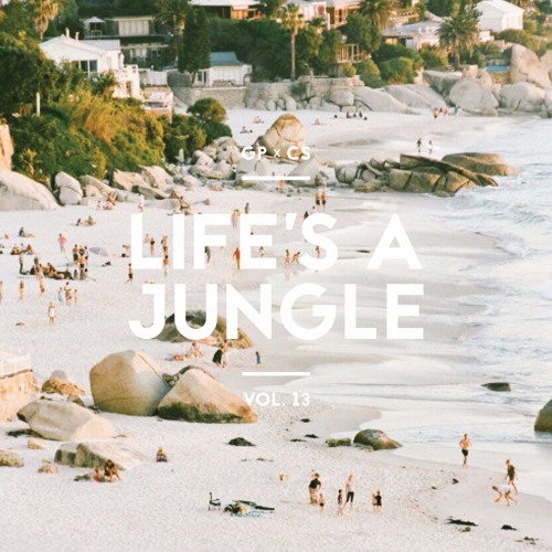 Stream LIFE'S A JUNGLE | Vol. 13 by Gary Paradise | Listen online for ...