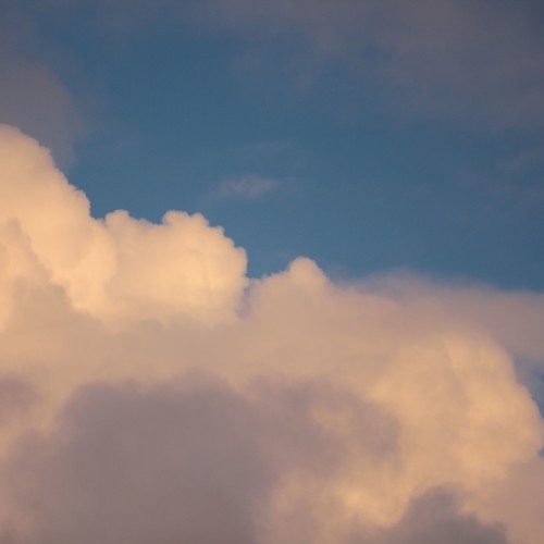 Stream Recognize and Ignore (work in progress) by Ryan Stemen | Listen ...