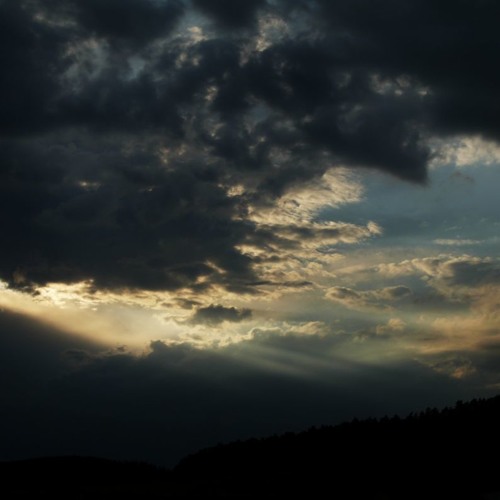 Stream Crazy by Leon Zeug | Listen online for free on SoundCloud