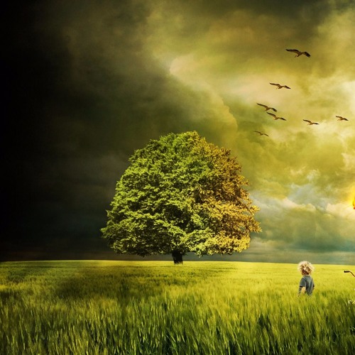 Stream A New Dawn by David Stone Hamilton | Listen online for free on ...