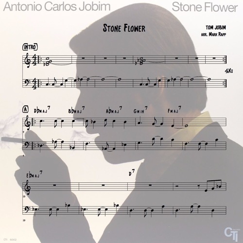 Antonio Carlos Jobim Stone Flower