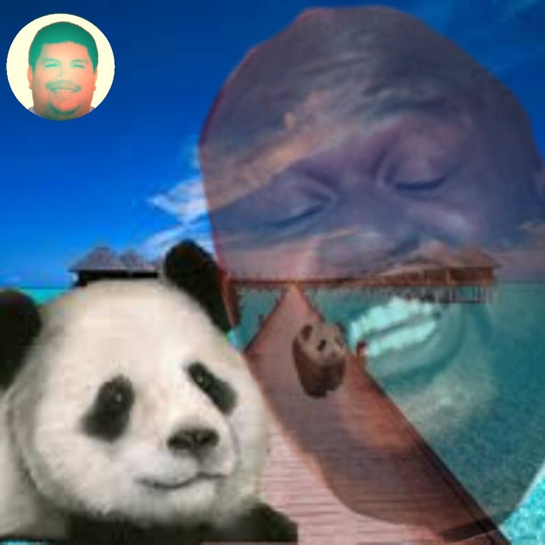 Stream Basic Mike Loves Pandas 2016 by Basic Mike | Listen online for ...