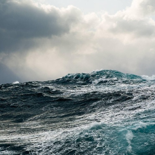 Stream Like a Leaf by Law of Inertia | Listen online for free on SoundCloud