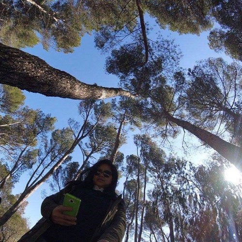 Stream dp24-m5 by Mitzëy Mitz | Listen online for free on SoundCloud