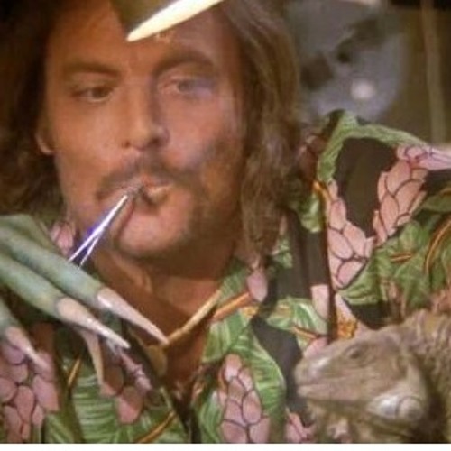 FARK.com: (12880238) Warnings issued for 4ft lizard on the loose that ...