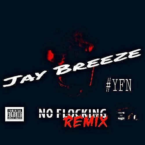 Stream Jay Breeze - No Flocking Remix by SMG4Nemm | Listen online for ...