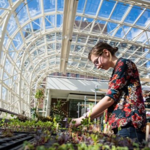 Stream Interview With Nancy Tuchman the Director of the Institute Of ...