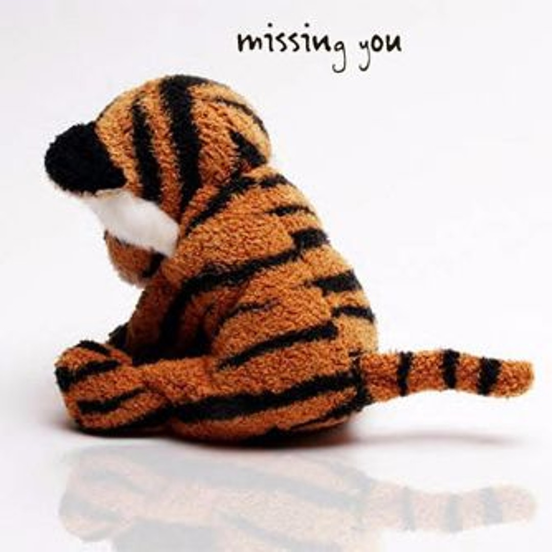 Stream Missing You by Fizzy Pickle | Listen online for free on SoundCloud