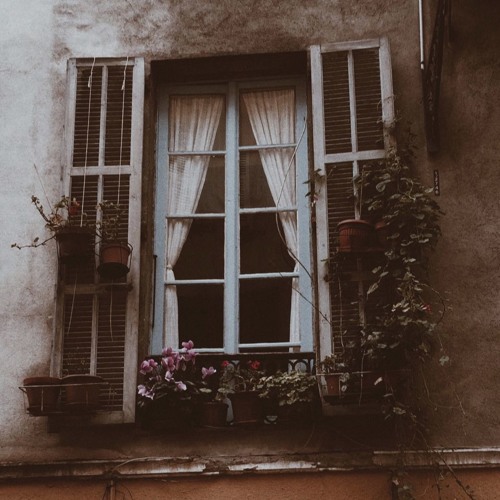 Stream Daisy Yañez Soto | Listen to daisy playlist online for free on ...