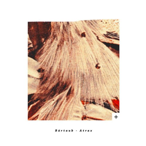 Stream Bärtaub - Atrax (Original Mix) [Petra Digital Recordings] [MI4L ...