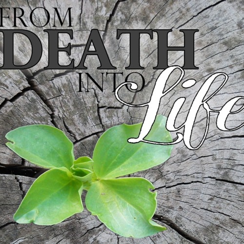 Stream May 1st "Dying forLife" Rev. Kate Walker by Chapelwood UMC ...