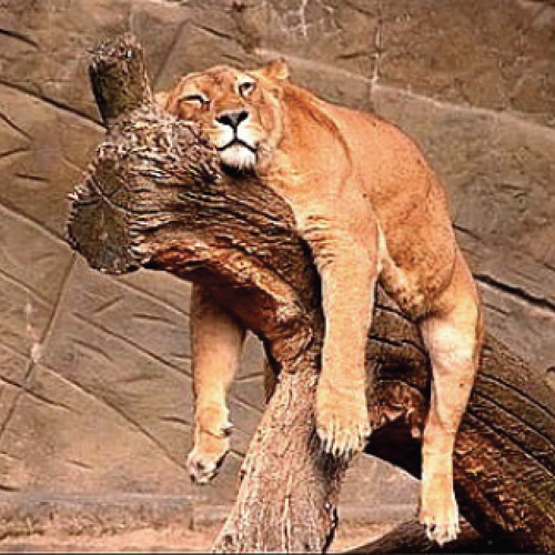 Stream On Monday I Never Go to Work - SATB - arr. Fankhauser/Nickel by ...