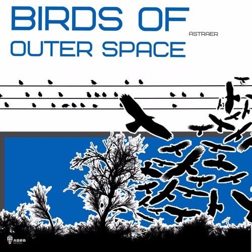 Stream Astraer - Birds Of Outer Space (Original Mix) by ADROMUSIC ...