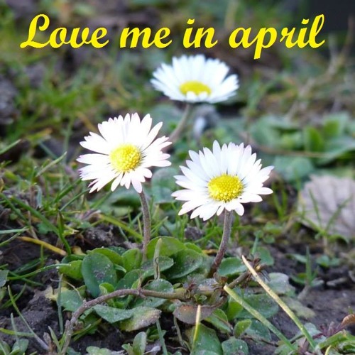Stream Love Me In April by eddytimmermansmusic | Listen online for free ...