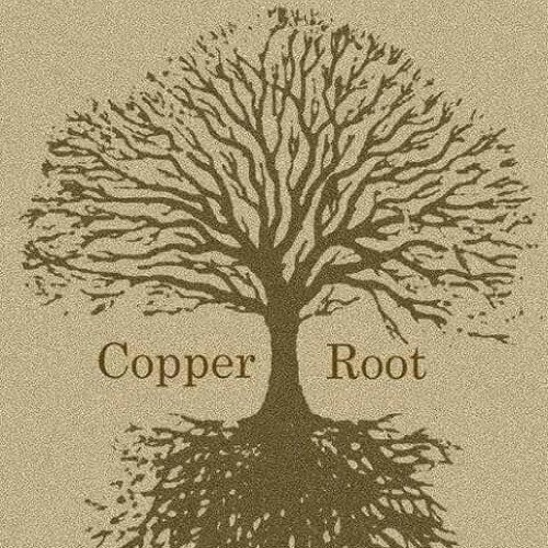 Stream Want Things by Copper Root | Listen online for free on SoundCloud