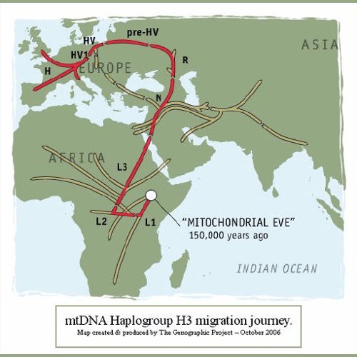 Stream Haplogroups (L1b1a / E1b1a) by Orca Raptalon | Listen online for ...