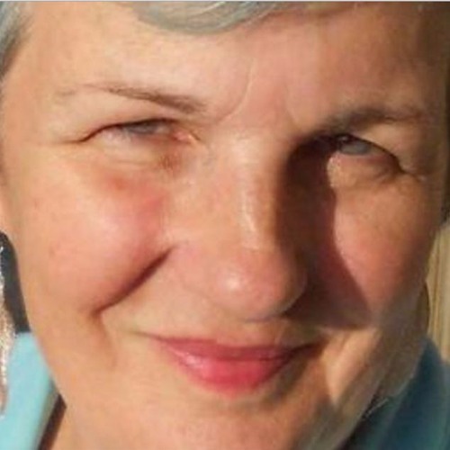 Stream Helen Royall on 10 years of Transition Stroud by Rob Hopkins ...