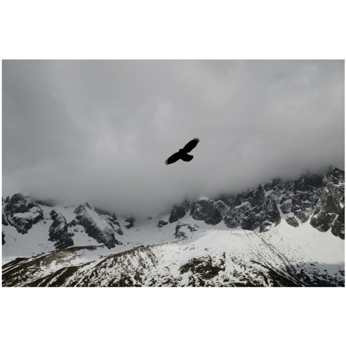 Stream Winter [Original Instrumental by Internet/Childish Gambino] by ...