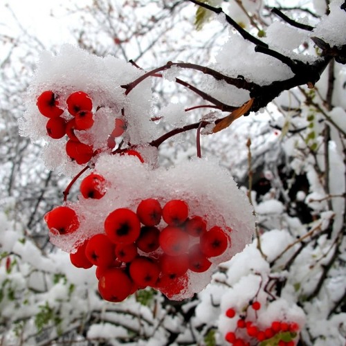 Stream Михаил Вайман - " Что Такое За Окном" by Michael Wayman | Listen ...