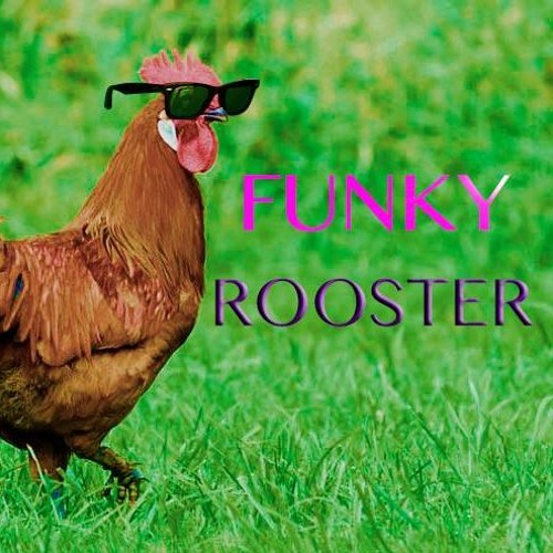 Stream Funky Rooster by Arthur Washington Avonde | Listen online for ...