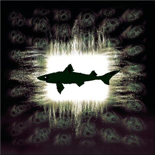 Stream Tool - Message To Harry Manback (Dogfish Remix) ((BASS FRENZY EP ...