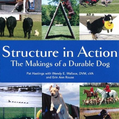 Stream Structure in Action: The Makings of a Durable Dog download pdf ...