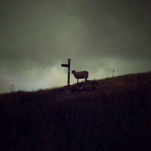 Stream Far from the madding crowd - Craig Armstrong by Soundtrack ... Stream Far from the madding crowd - Craig Armstrong by Soundtrack ...