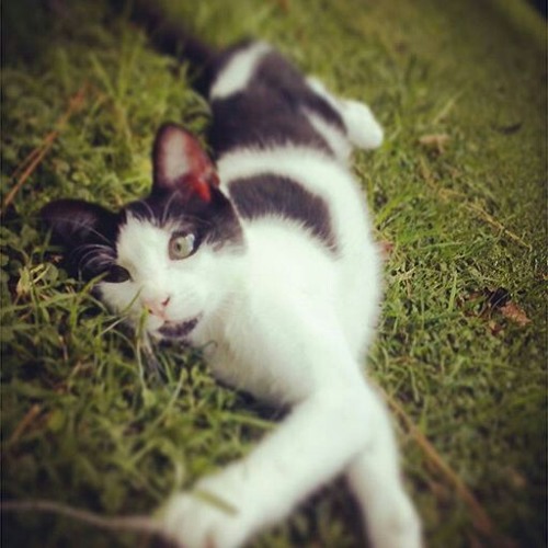 Stream [Electronic] - Notaker - Infinite by DubstepKiller | Listen ...