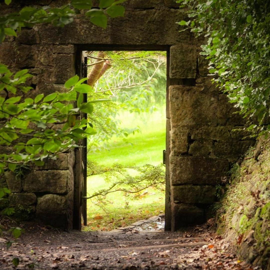 Listen to playlists featuring [M4F] Secret Garden [HFO hypnosis] by ...