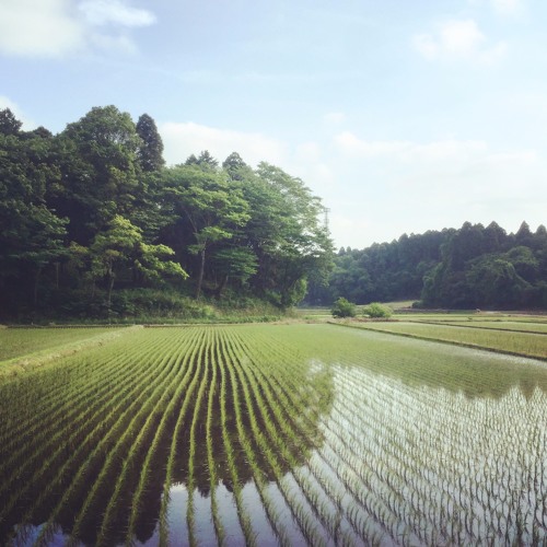 Stream YACHIMATA_160515 by Miyauchi Yuri | Listen online for free on ...