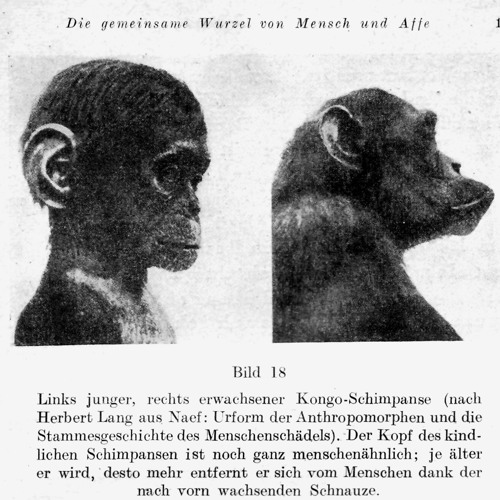 Claim: Time-Travelling Humans are Causing Close Encounter Experiences ...