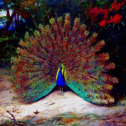 Stream Eurovision.Song.Contest.May.2016.Grand.Final.With.JT's Show by ...