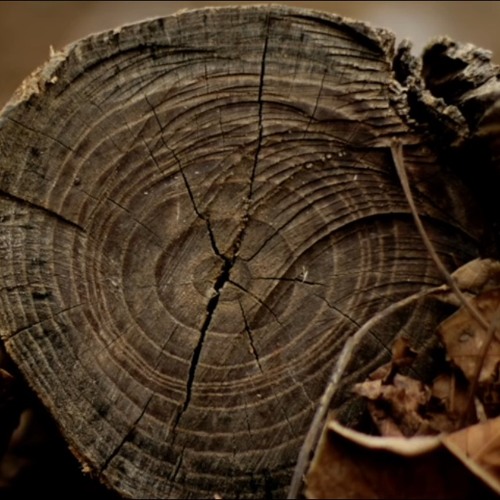 Stream Kijan by Bryar Rasched | Listen online for free on SoundCloud